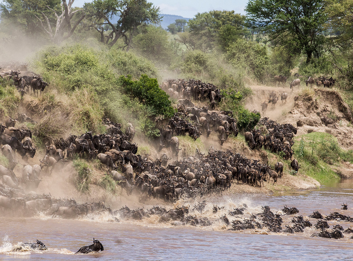 10 Days Great Migration Photo Safari - Katikati Tours and Safaris