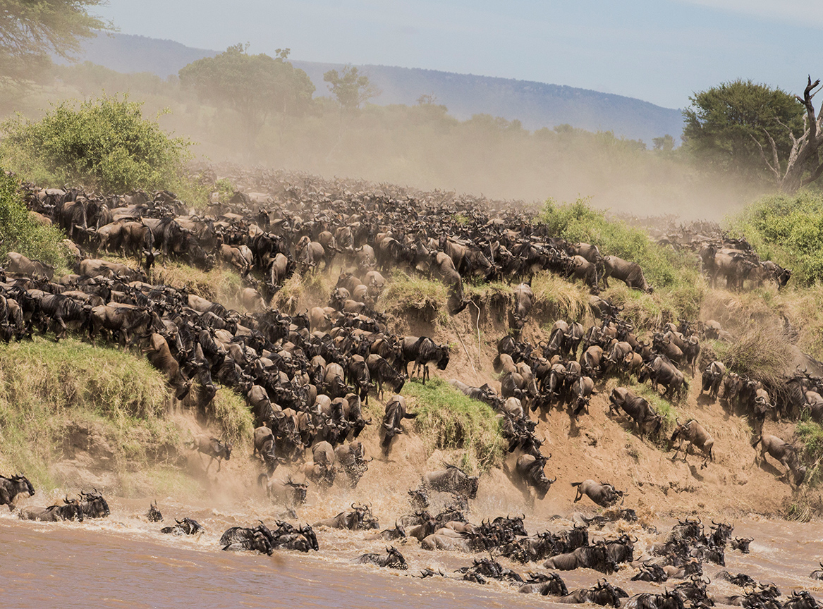10 Days Great Migration Photo Safari - Katikati Tours and Safaris